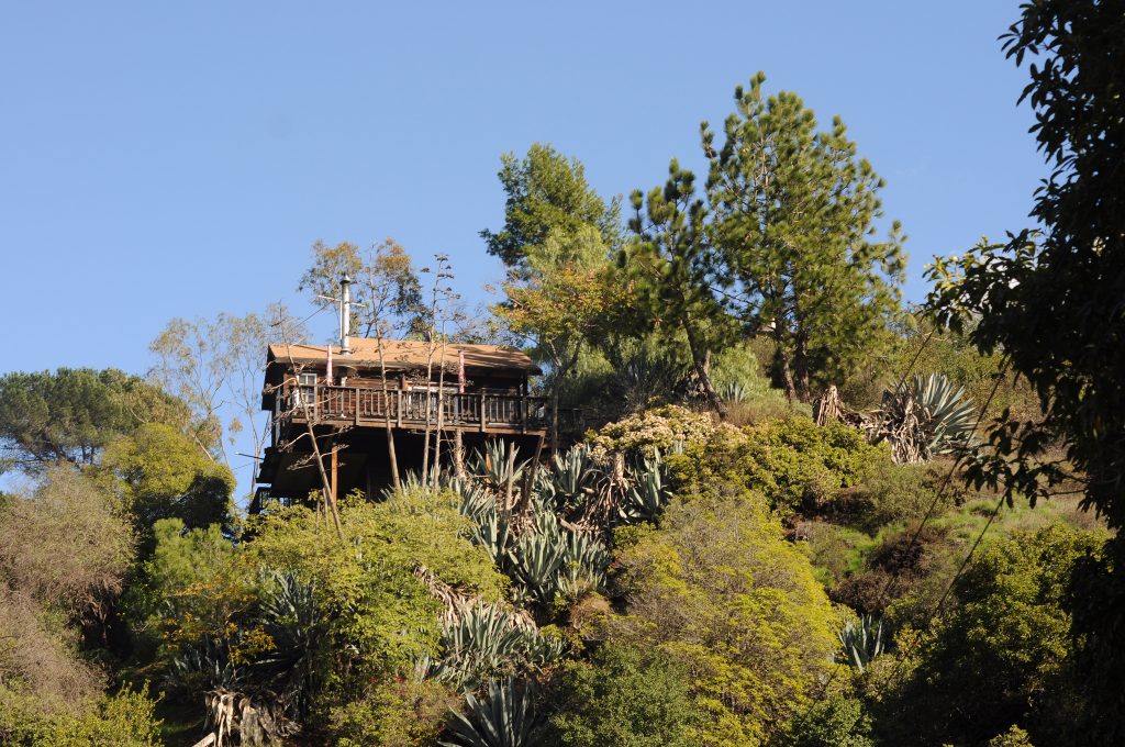 Manhattan Apartment Mover Gives Best Treehouse Organization Tips